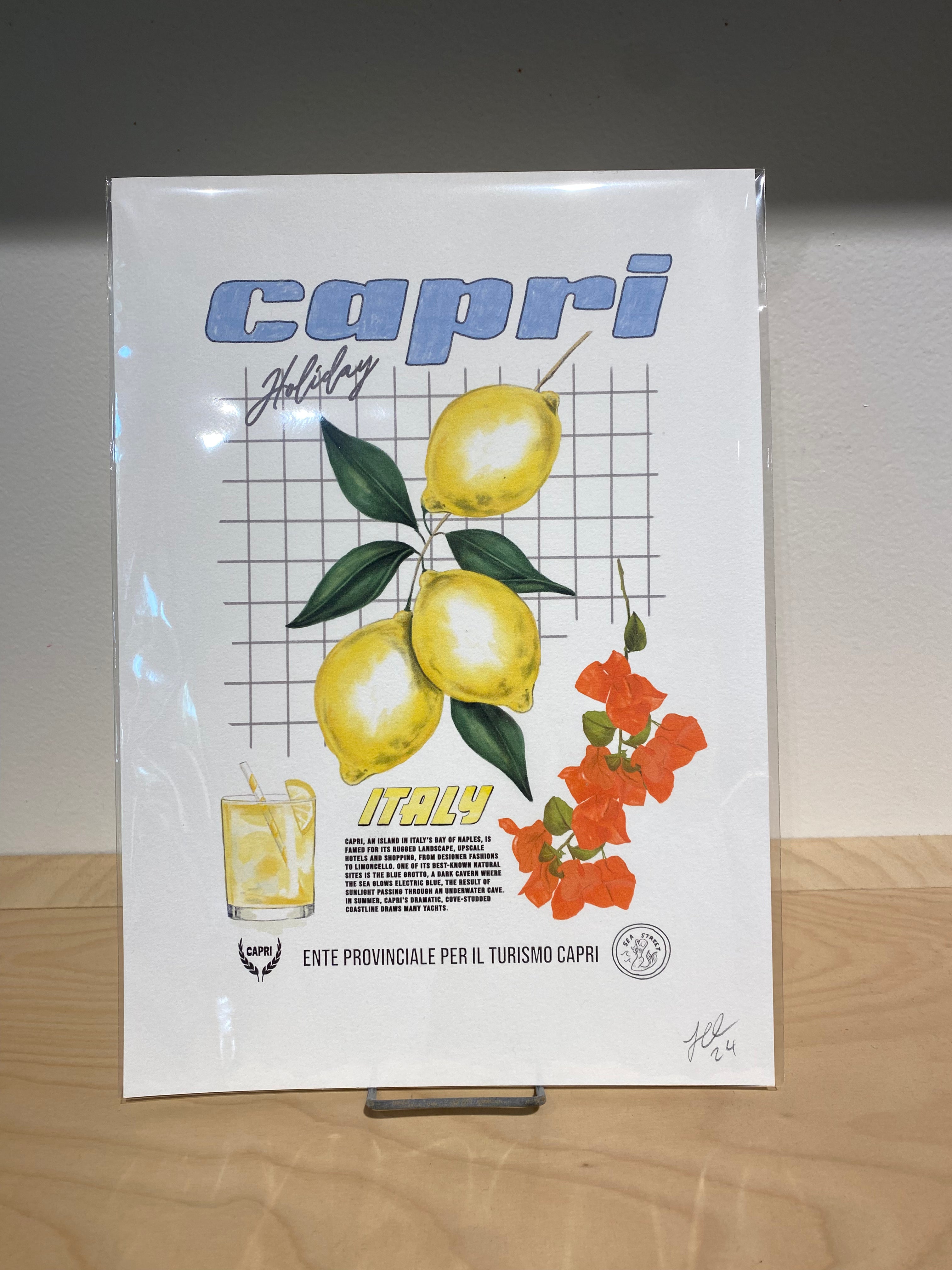 Capri Print - Multi – Kind Curations